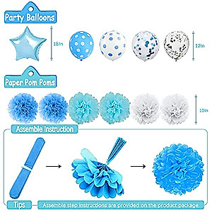Light Blue Birthday Decorations, Blue Birthday Party Decorations with Tissue Pom Pom flowers, Happy Birthday Banner, Confetti Balloons, Foil Fringe Curtain, Happy Birthday Party Supplies for Men Women Boys Girls - Light Blue and White