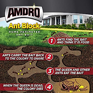 Amdro 100099307 Block Home Perimeter Ant Bait Granules, 12 Ounces