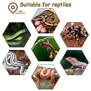 Hamiledyi Snake Hides and Caves, Resin Reptile Tank Accessories Large Humid Hide Leopard Gecko Corn Snake Shedding Egg-Laying Shelter