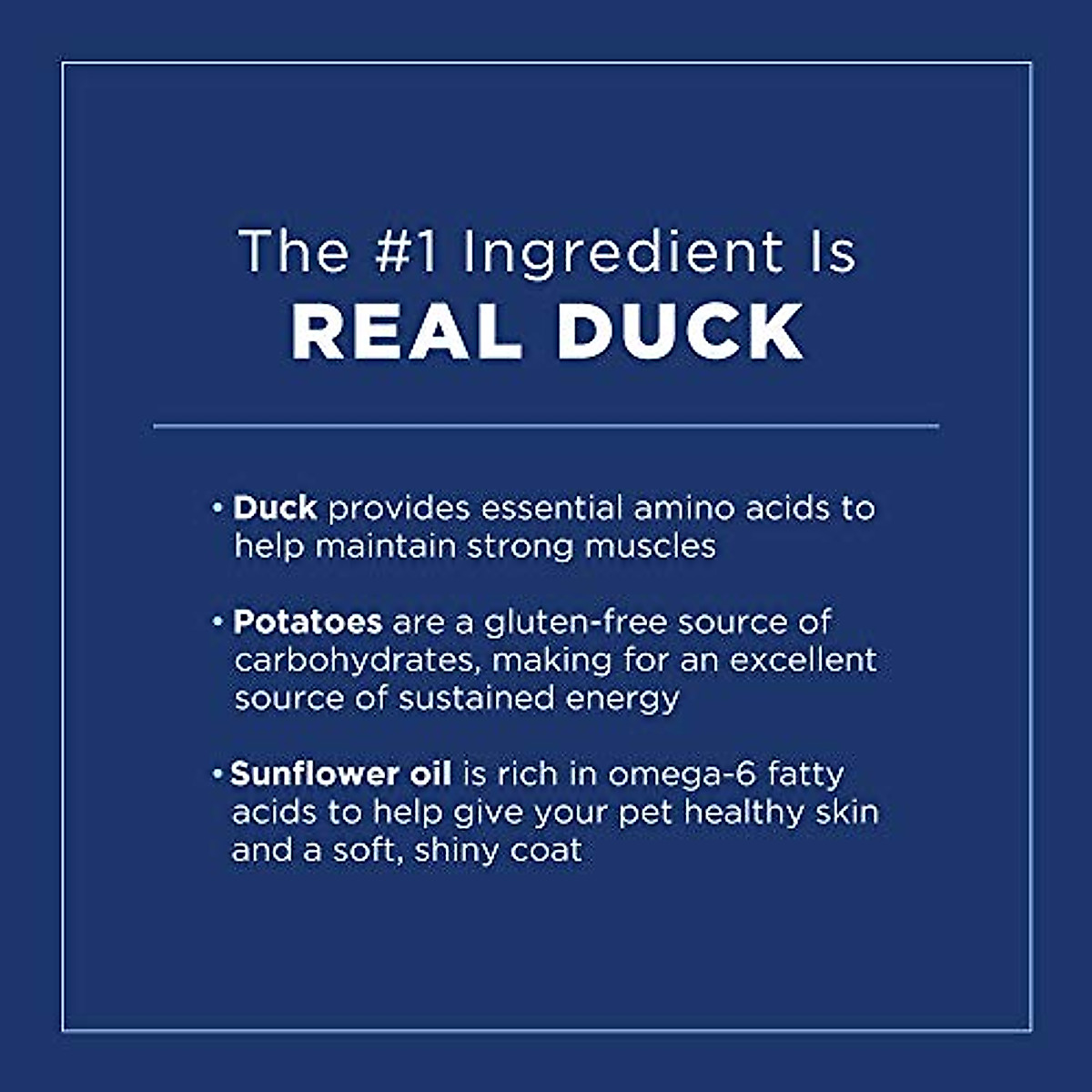 Natural Balance Limited Ingredient Diet Duck & Potato | Puppy Formula Grain-Free Dry Dog Food | 24-lb. Bag