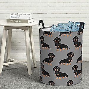 Dachshund Weiner Pet Dogs Printed Laundry Baskets, Round Storage Bins, Organizers, Storage Baskets For Toys And Clothes