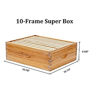 BeeCastle 10-Frames Complete Beehive Kit, 100% Beeswax Coated Bee Hive Includes Beehive Frames and Beeswax Coated Foundation Sheet (2 Layer)