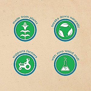 Earthwise Natural Dental Floss Picks - 50 ct - Biodegradable Flossers, Eco-Friendly, Vegan, Sustainable, Unflavored, Shred Resistant