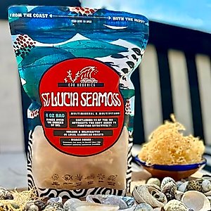 EDA Organics Raw St Lucia Sea Moss Bulk Bag - Raised by Hand on Clean Caribbean Coastlines - Harvested by local St Lucian Farmers - Makes over 180oz+ of Seamoss Gel (13 Jars!) - An authentic Dr Sebi Superfood (8oz BULK Bag)