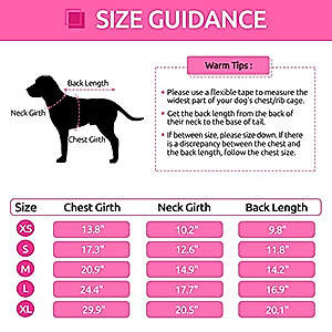 Queenmore Warm Dog Winter Coat, Cold Weather Waterproof Dog Snow Jacket, Reflective Dog Hoodie with Long Sleeves for Small Medium and Large Dogs
