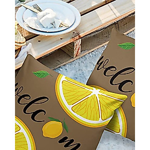 ALAGEO Outdoor Waterproof Pillow Covers for Patio Furniture Summer Fruit Lemon Decorative Throw Pillow Cover Plant Green Leaves Brown Pillowcases Set of 2 Cushion Case for Sofa Couch Chair 20x12 in