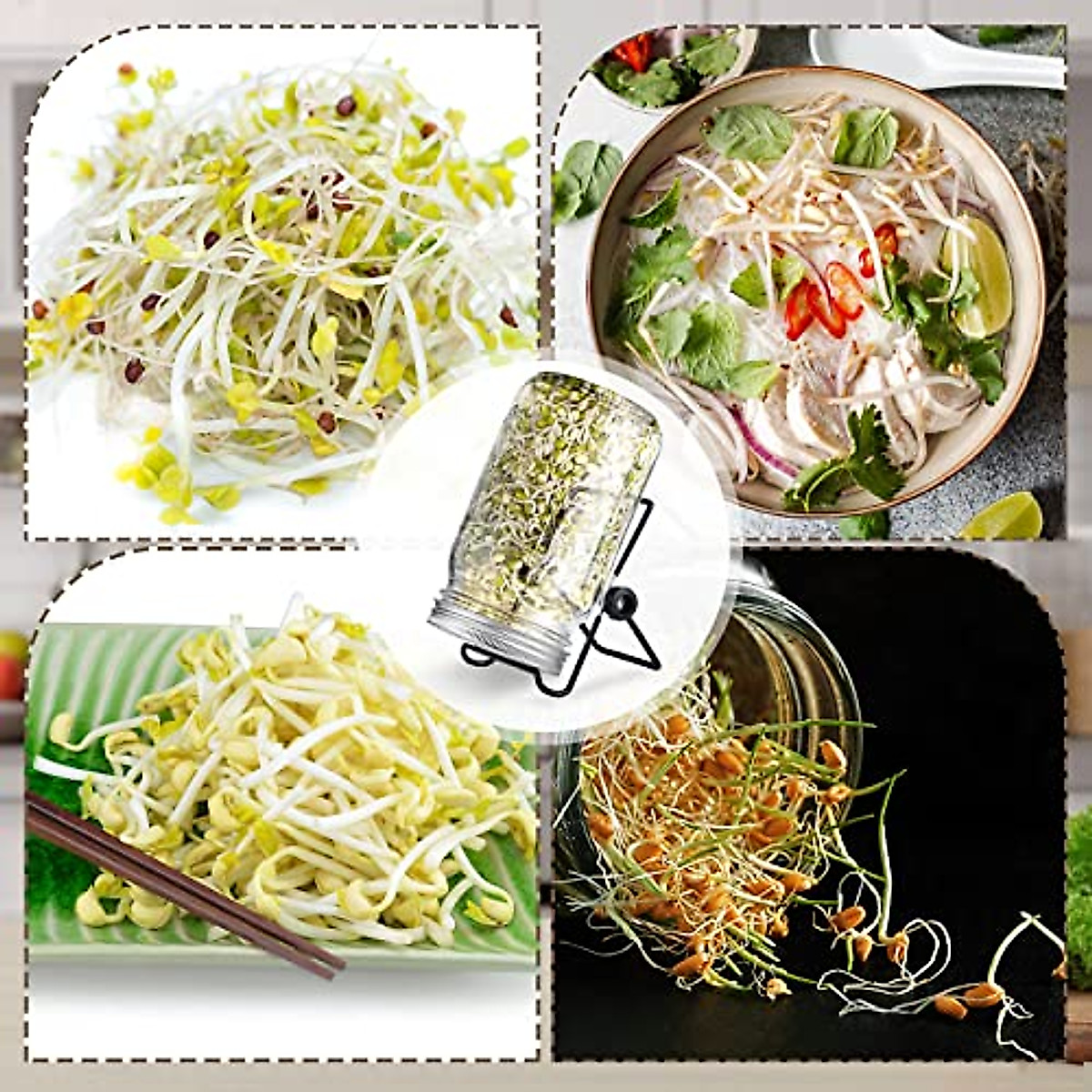 meekoo 4 Sprouting Jar Kit Wide Mouth Mason Jars with Stainless Steel Screen Sprout Lids and Stand Microgreens Growing Kit Seed Germination Kit Seed Sprouter Set for Growing Broccoli Alfalfa Mung Bean