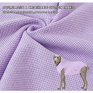 Wabdhaly Dog Surgery Recovery Suit for Small Female Spay,Anti Licking Dog Surgical Recovery Onesie,Fashion Striped Purple XSmall