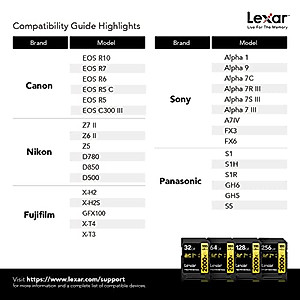 Lexar Professional 2000x 256GB SDXC UHS-II Memory Card, C10, U3, V90, Full-HD & 8K Video, Up To 300MB/s Read, for DSLR, Cinema-Quality Video Cameras (LSD2000256G-BNNNU)