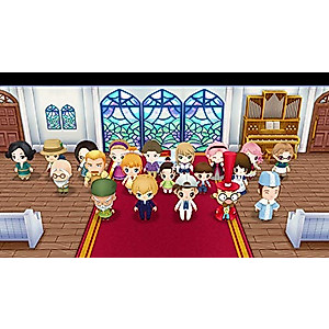 Story of Seasons - Friends Of Mineral Town (Nintendo Switch)
