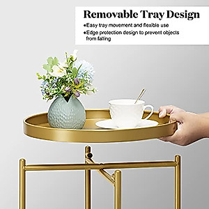 danpinera 2-Tier End Table, Outdoor Side Table Metal Round Side Table with Removable Tray, Small Folding Accent Table, Anti-Rust Nightstand for Bedroom Balcony Patio Living Room (Gold)