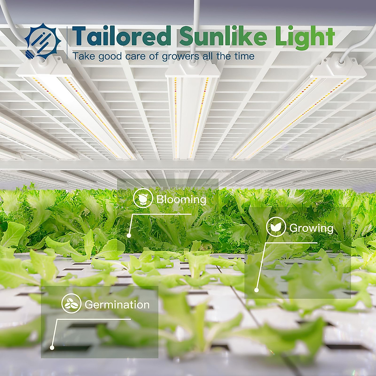 FREELICHT 1 Pack 2ft LED Grow Light, 30W (175W Equivalent), Sunlike Full Spectrum Integrated Plant Light for Hydroponic Indoor Plant Seedling Veg and Flower, Plug in with On/Off Switch