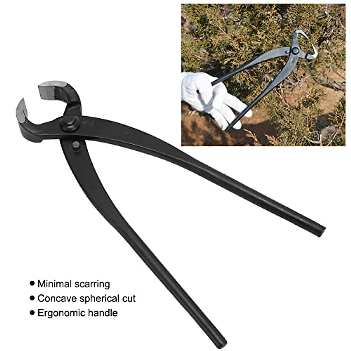 BranchScissors, Wear Resistant ConcaveBranchCutter for Bonsai for Branch for Plant