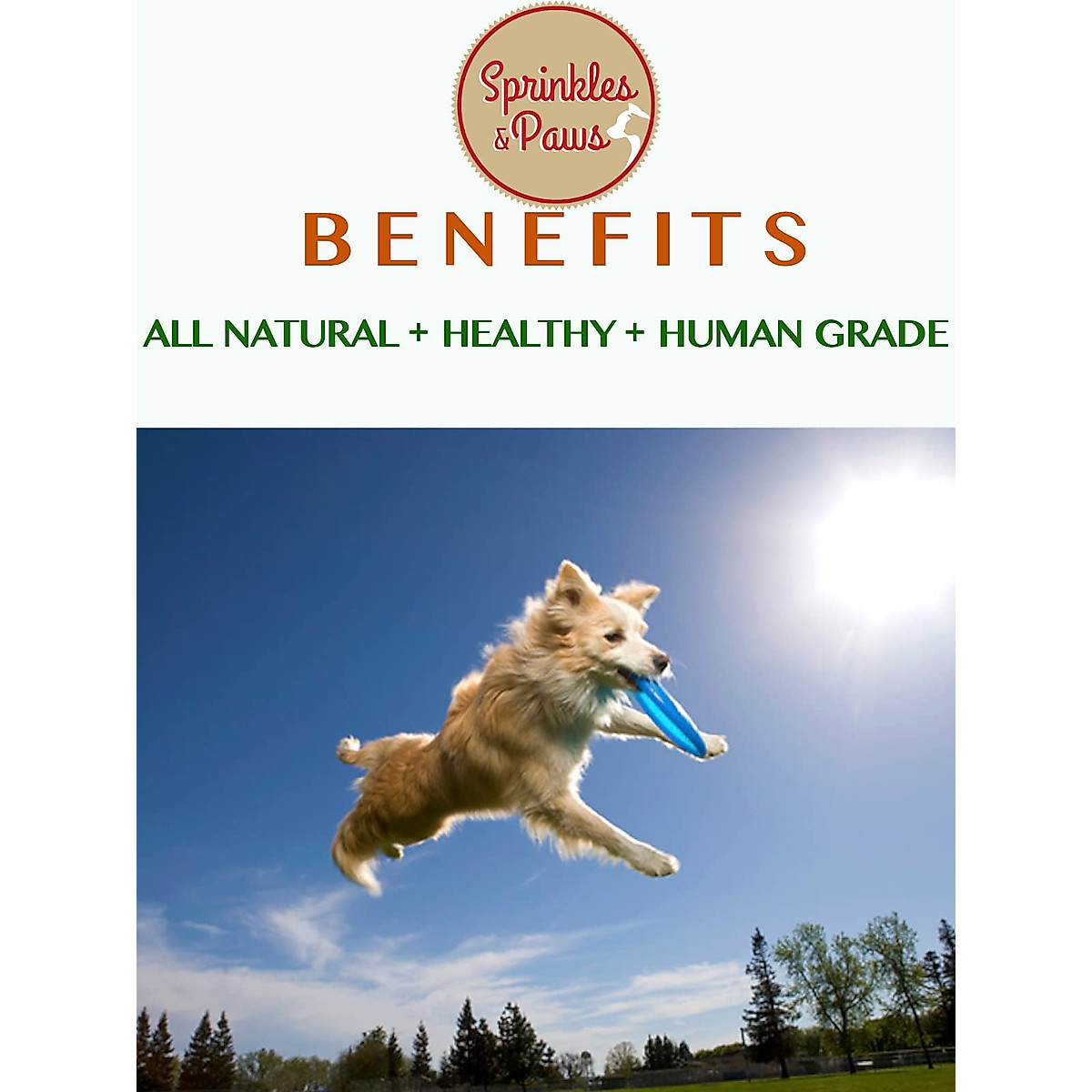 SPRINKLES & PAWS Pumpkin Powder for Dogs | Dog Food Topper Made in Canada with organic pumpkins | Helps Digestive Health, Allergy Relief, Skin & Coat, and with poop | Mix with food