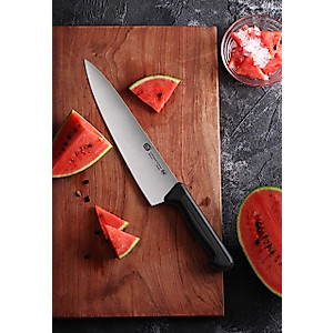 Top Cut by Cangshan P2 Series 1020519 Swedish 14C28N Steel Chef Knife, 10-Inch