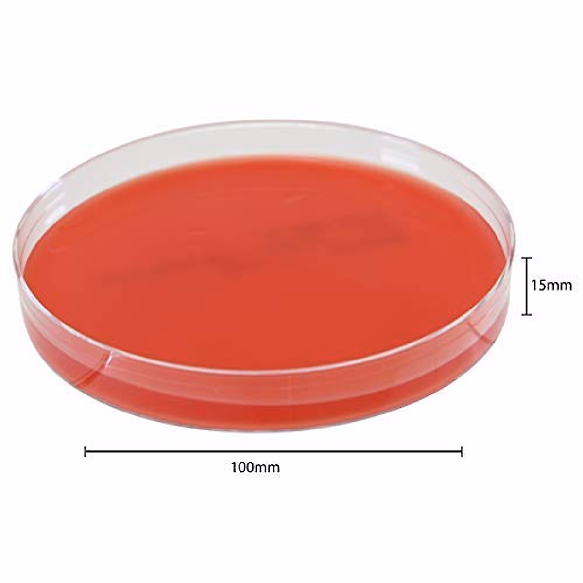 Blood Agar, 10 Percent Sheep Blood in Tryptic Soy Agar (TSA) Base, 15x100mm Plate, Order by the Package of 10, by Hardy Diagnostics