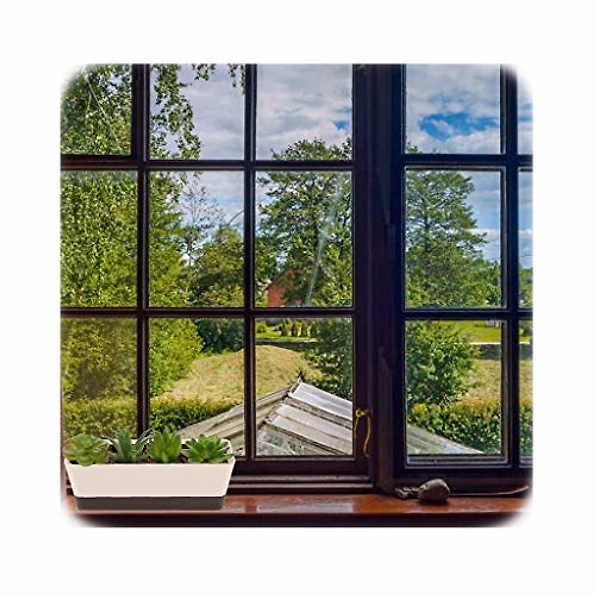 Skelang 3 Pcs Rectangular Plant Pot, 12" Watering Plant Container with Drainage Hole, Window Planter Box with Saucer for Succulents, Flowers, Indoor Plants, African Violets