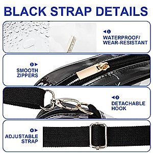 TEABAN Clear Delicate Crossbody Purse Bag, Stadium Approved Transparent Bag for Festivals, Sports Events, Small Concerts Bag for Women Men with Inner Pocket and Adjustable Shoulder Strap