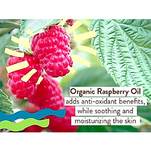 Babo Botanicals Daily Sheer Tinted Mineral Sunscreen Fluid SPF50 - Natural Zinc Oxide - Passion Fruit Oil - Golden-Hued Tint - Fragrance Free - Ultra-Lightweight - For Face - For all ages