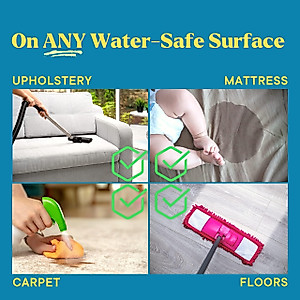 Good Life Solutions Natural Odor and Stain Remover Spray - Unscented Plant-Based Child and Pet Safe Cleaner Earth-Friendly Odor Eliminator Eco Cleaning Products for Home, Carpet, Upholstery 16 oz