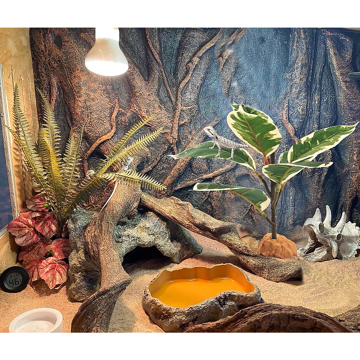 Woyrise Reptile Plants for Terrarium Decor, Amphibian Habitat Artificial Plant, Bearded Dragon Tank Accessories fit Gecko Lizard Chameleon Ball Python Snake Frog - Ficus Microcarpa