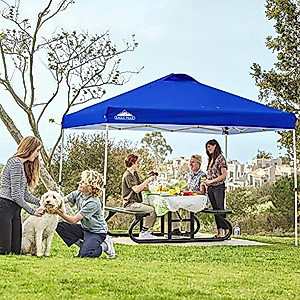 EAGLE PEAK 10x10 Pop Up Canopy Tent Instant Outdoor Canopy Easy Set-up Straight Leg Folding Shelter with 100 Square Feet of Shade, (Blue)