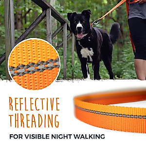 Mighty Paw Dog Leash - Soft Padded Handle - D-Ring and Pet Leash Clip - Carabiner Clip - Weatherproof with Reflective Stitching - 6 Foot Long Dog Leash for All Dog Breeds - Dog Walking Leash (Orange)