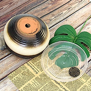 Summer Impressions 8 Inch Glazed Terracotta Plant Pot Round Ceramic Succulent Planter Pot with Drainage and Saucer Cactus Clay Pot Bonsai Pot