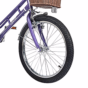 COEWSKE 20 Inch Kids Bike Bicycles Fantasy-Style, Children Toddler Girls Leisure Bicycle with Basket Kickstand Included Fit for 6-10 Years Old Or 49-57 Inch Kids (Purple)