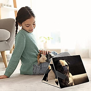 RATGDN Small Pet Hideout Beautiful Male Pug Puppy Dog Hamster House Guinea Pig Playhouse for Dwarf Rabbits Hedgehogs Chinchillas
