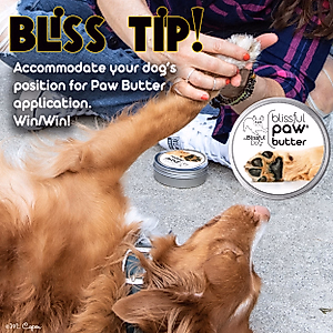 The Blissful Dog Paw Butter, Moisturizer for Dry Paw Pads, Softens and Protects a Rough Paw in Winter, Versatile, Lick-Safe Dog Paw Pad Balm, 2 oz.