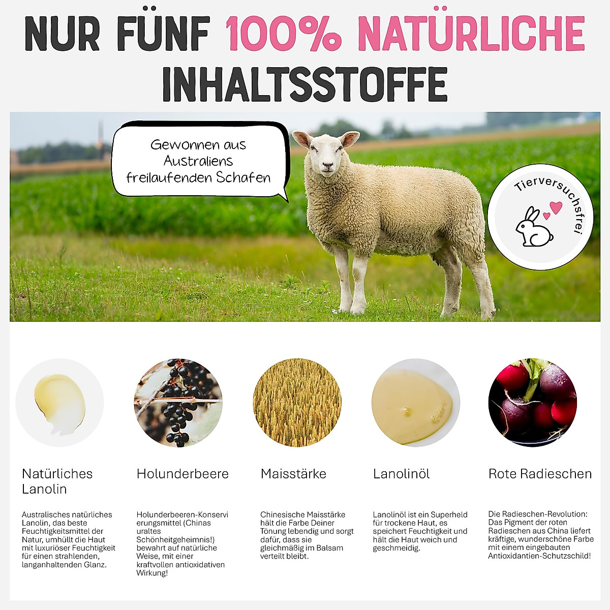 Dr. Lipp Superfood Lip Tint Red Redish 8ml – 4-in-ONE Ultra Moisturising Tinted Lip Balm, Lip Gloss, Cheek Blush & Glossy Eyeshadow – 100% Natural – Fragrance & Cruelty Free