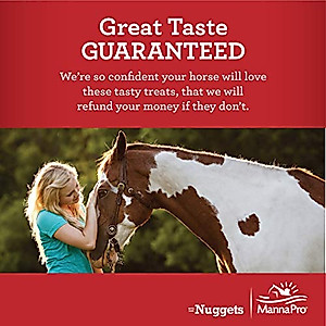 Manna Pro Bite-Size Carrot & Spice Flavored Nuggets, 4 lb