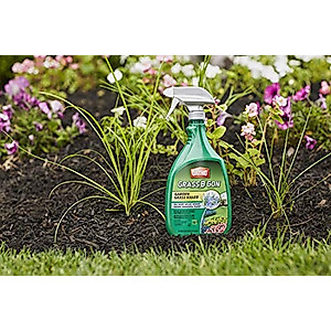 Ortho 0438580 Grass B Gon Garden Grass Killer Ready-to-Use, 24-Ounce (3)