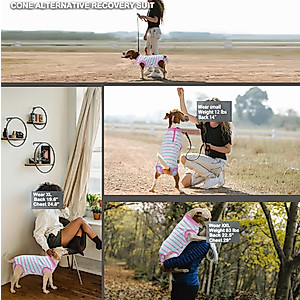 Wabdhally Dog Surgery Recovery Suit,Surgical Recovery Female Spay Suit for Small Dogs Cats,Surgery Recovery Multi Pink Onesie XS