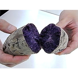 Japanese Purple Sweet Potato,(2 LBS) Eating or Planting