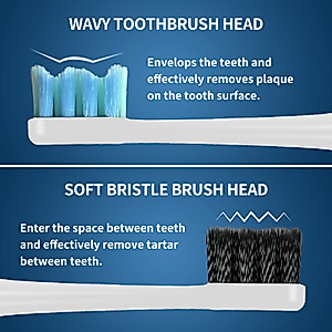 LANDWIND Sonic Electric Toothbrush, Rechargeable Travel Electric Toothbrush Lasts 2 Months, 2 Brush Heads and 5 Cleaning Modes, 2-Min Timer and IPX7 Waterproof Electric Toothbrush for Adults