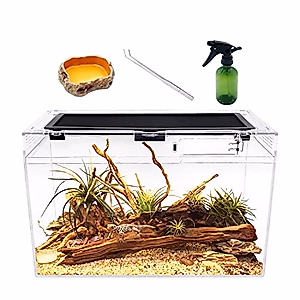 Reptile Growth Reptile Terrarium,16" x 8"x 10" Reptile Tank with Full View Visually Appealing，for Insect，Fish，Tarantula，Hermit Crab，Jumping Spider，Iguana，Tortoise，Leopard Gecko，Frog，Bearded Dragon