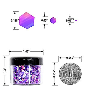 Body Glitter Wenida 9 Colors 190g Holographic Cosmetic Festival Makeup Chunky Powder for Nail Hair Eye Face