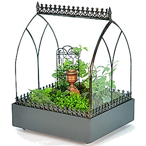 H Potter Terrarium Wardian Case Glass Succulent Plant Container Planter WAR142