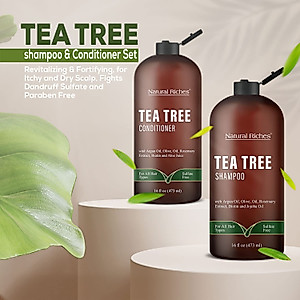 Natural Riches Refreshing Women's and Men's Shampoo and Conditioner Set - With Pure Tea Tree Oil, Boosts Shine, Tames Frizz, Sulfate-Free, Good for Dry, Itchy Scalp