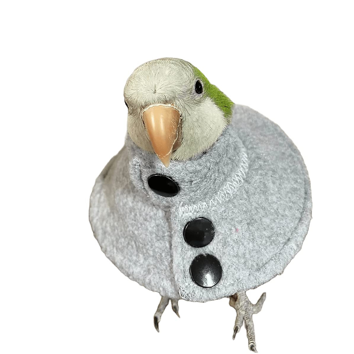 Adjustable Recovery Bird Cone Collar, Elizabeth Protective Collar, Safe and Practical Neck Sleeve for Preventing Bite and Licking Wound Healing with Snap Fastener Random Color (Large)