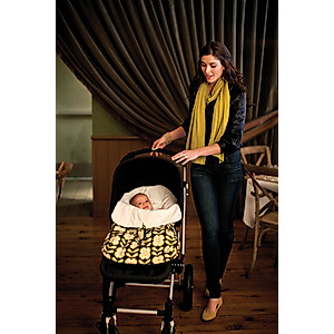 Fall 2011 Collection Petunia Pickle Bottom Stroll - Lively La Paz