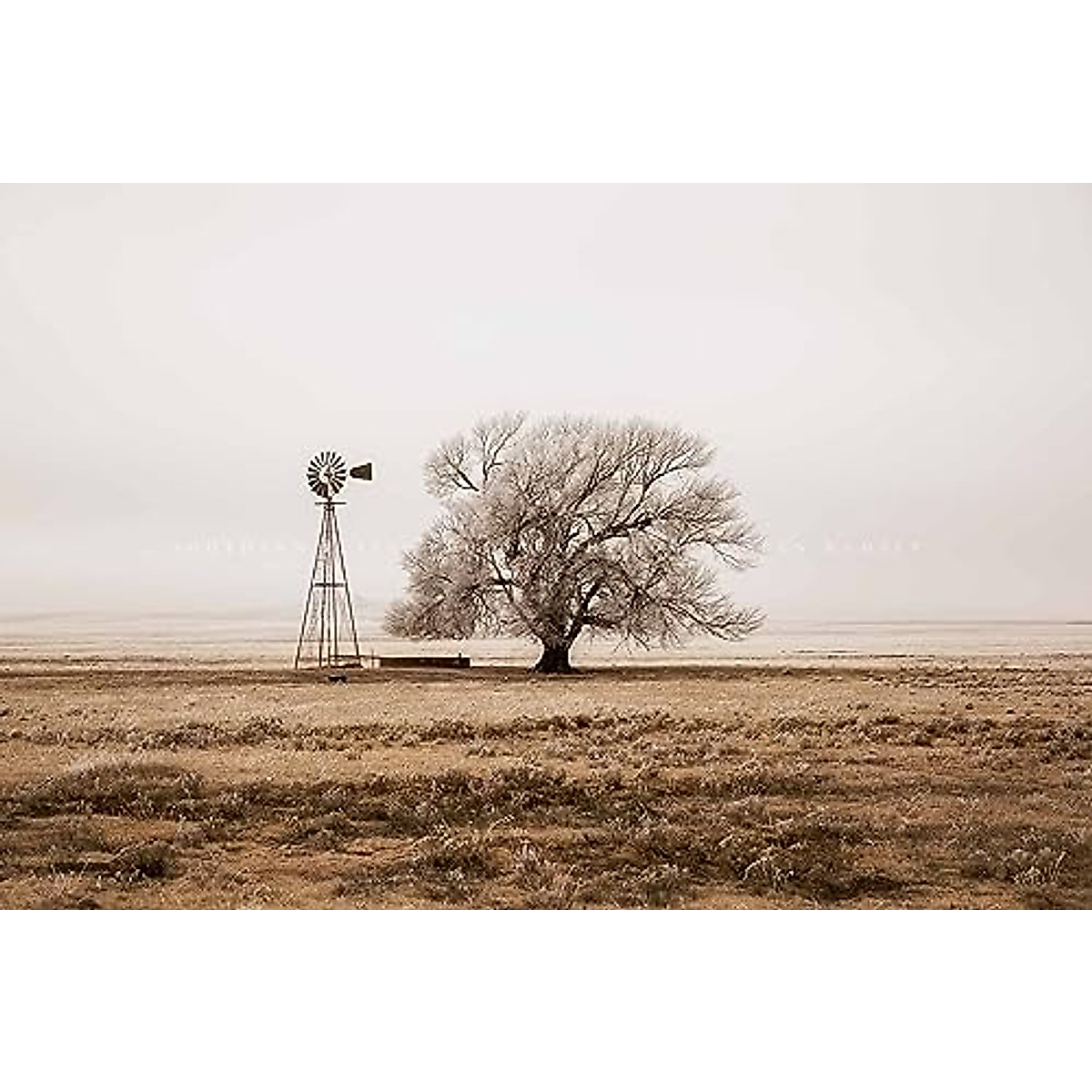 Country Photography Print (Not Framed) Sepia Picture of Old Windmill and Tree Covered in Frost on Winter Day in New Mexico Western Wall Art Farmhouse Decor (30" x 40")