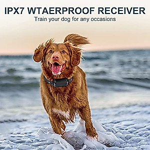 Dog Training Collar - Dog Shock Collar with Remote 1600FT, Waterproof Collar, 3 Training Modes and 4 Channels, Security Lock for All Breeds, Sizes