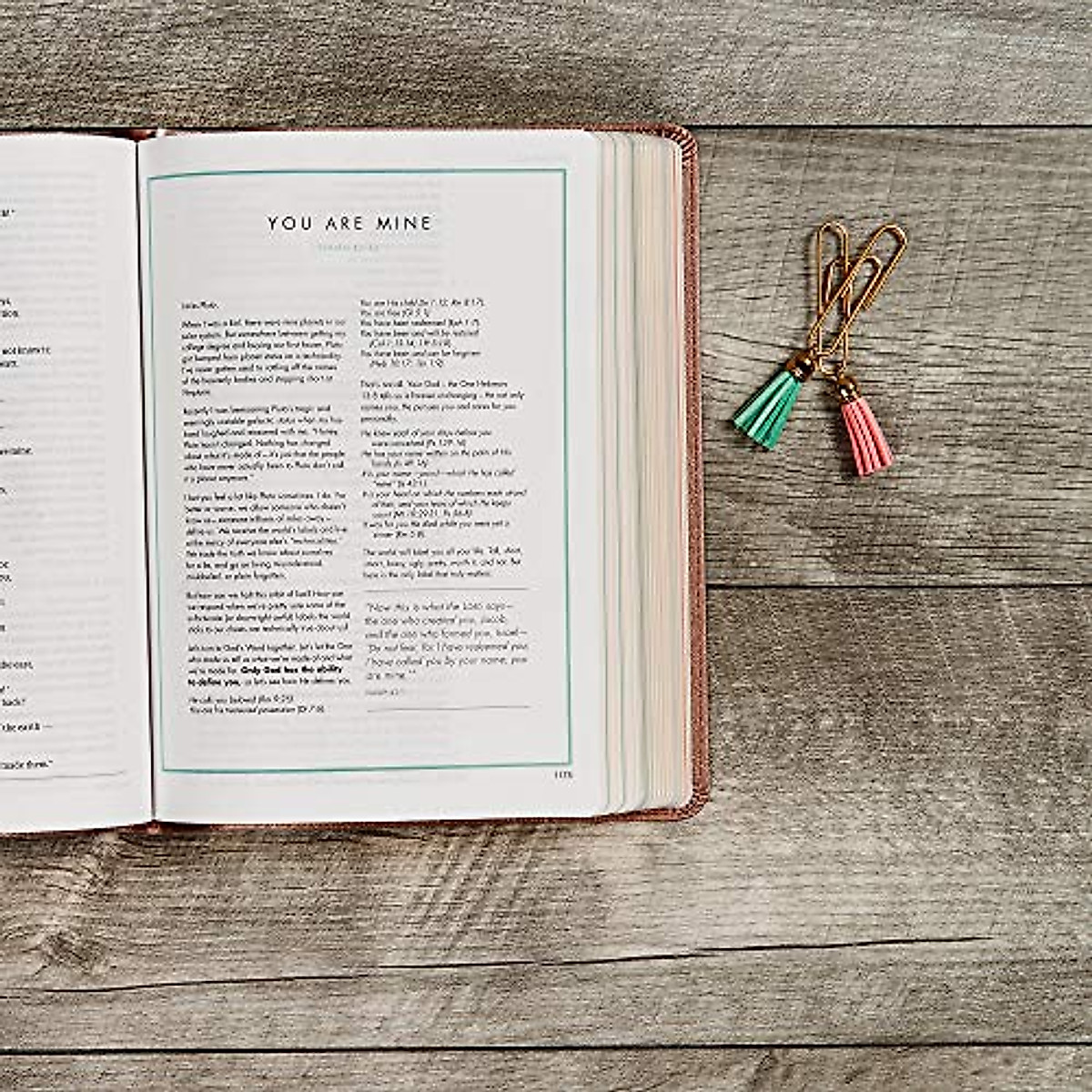 CSB She Reads Truth Bible, Rose Gold LeatherTouch, Black Letter, Full-Color Design, Wide Margins, Journaling Space, Devotionals, Reading Plans, Single-Column, Easy-to-Read Bible Serif Type