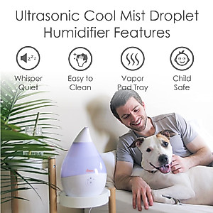 Crane Droplet Ultrasonic Small Air Humidifiers for Bedroom and Office, 0.5 Gallon Cool Mist Humidifier for Plants and Home, Humidifier Filters Optional, White