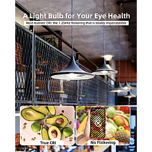 MASTERY MART A19 Light Bulbs, 100W Equivalent, 5000K Daylight White, E26 Base, 14W 1500 Lumens Led Bulbs, Non-Dimmable, Energy Star, UL Listed, Lighting for Bedroom Living Room Home Office-12 Pack