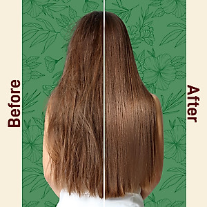 BIOBLAS Argan Oil & Organic Olive Oil Shampoo for Women & Men - Hydrating, Repairing, Strengthening Hair Growth Shampoo - Hypoallergenic, Paraben & Dye Free - All Hair Types - 12 Oz