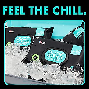 DUDE Wipes Flushable Wipes - 6 Pack, 288 Wipes - Mint Chill Extra-Large Wet Wipes with Eucalyptus & Tea Tree Oil - Septic and Sewer Safe
